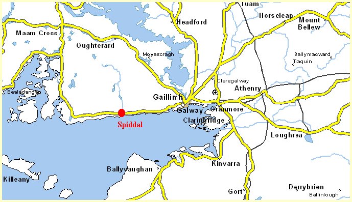 Liam O'Neill Wood Sculptures, Spiddal, Galway, Ireland